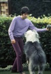 The story of Paul McCartney and Martha the dog. Lots of pictures ...