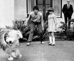 The story of Paul McCartney and Martha the dog. Lots of pictures ...