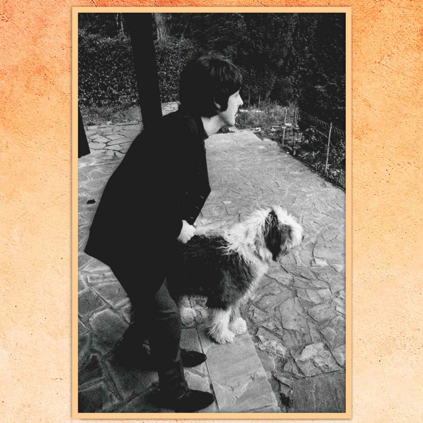 The story of Paul McCartney and Martha the dog. Lots of pictures ...