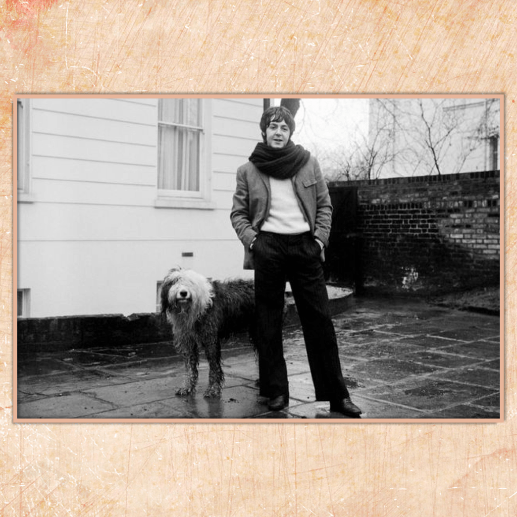 The story of Paul McCartney and Martha the dog. Lots of pictures ...