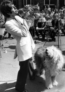The story of Paul McCartney and Martha the dog. Lots of pictures ...