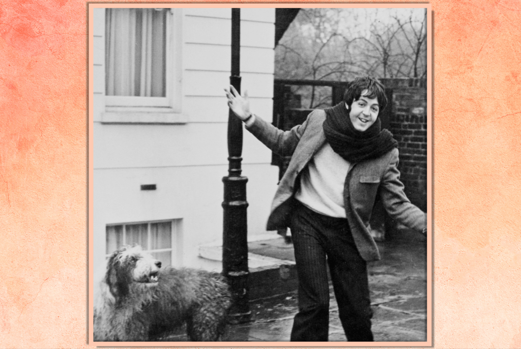 The story of Paul McCartney and Martha the dog. Lots of pictures ...