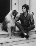 The story of Paul McCartney and Martha the dog. Lots of pictures ...