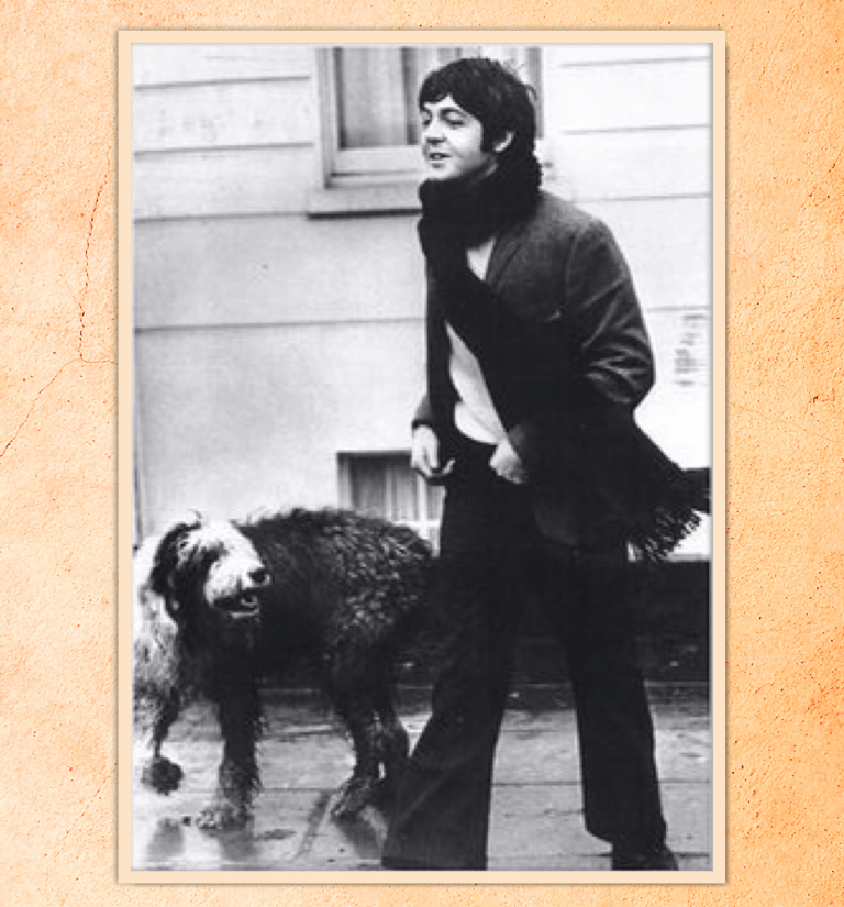 The story of Paul McCartney and Martha the dog. Lots of pictures ...