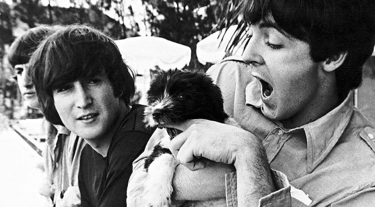 The story of Paul McCartney and Martha the dog. Lots of pictures ...